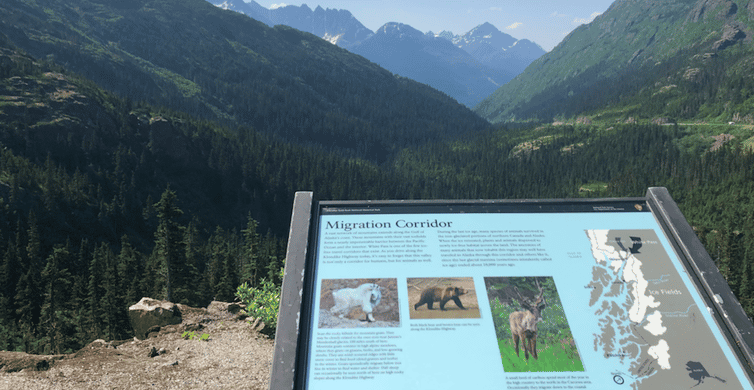 White Pass Summit, Skagway - Book Tickets & Tours | GetYourGuide