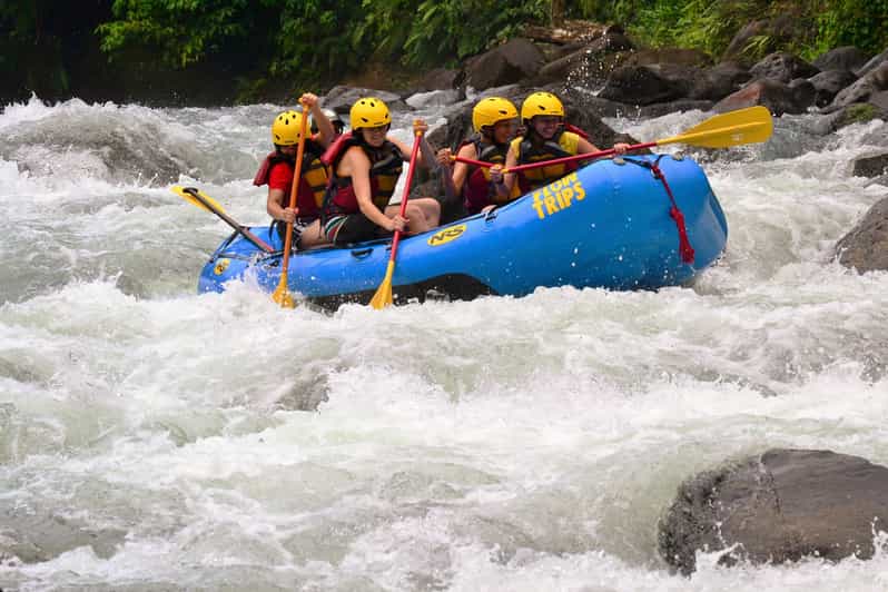 Arenal: Rafting Sarapiqui River Day Tour - Class II-III | GetYourGuide