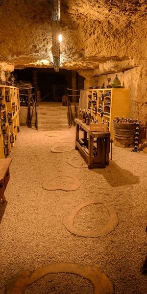 Amboise: Caves Ambacia Visit and Wine Tasting | GetYourGuide