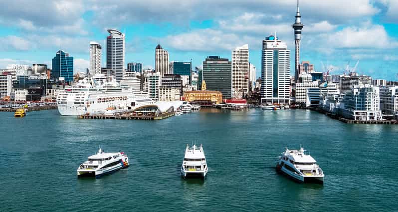 Auckland: Scenic Harbour Sightseeing Cruise | GetYourGuide