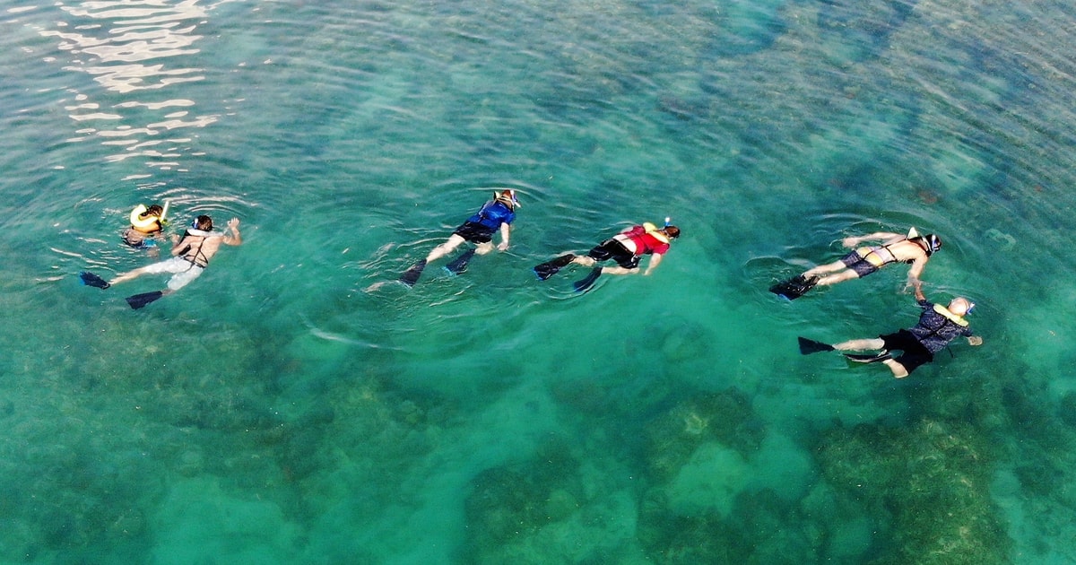 Key West: Reef Snorkel Morning Tour con colazione e mimose | GetYourGuide