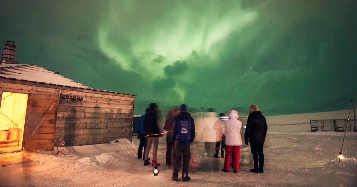 Longyearbyen: Northern Lights Evening with Dinner | GetYourGuide