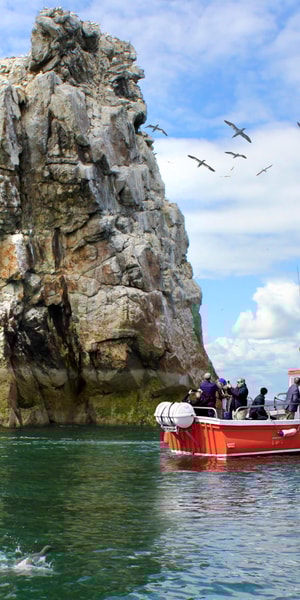 Dublin: Howth Coastal Boat Tour with Ireland's Eye Ferries | GetYourGuide