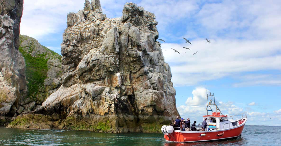 Dublin: Howth Coastal Boat Tour with Ireland's Eye Ferries | GetYourGuide