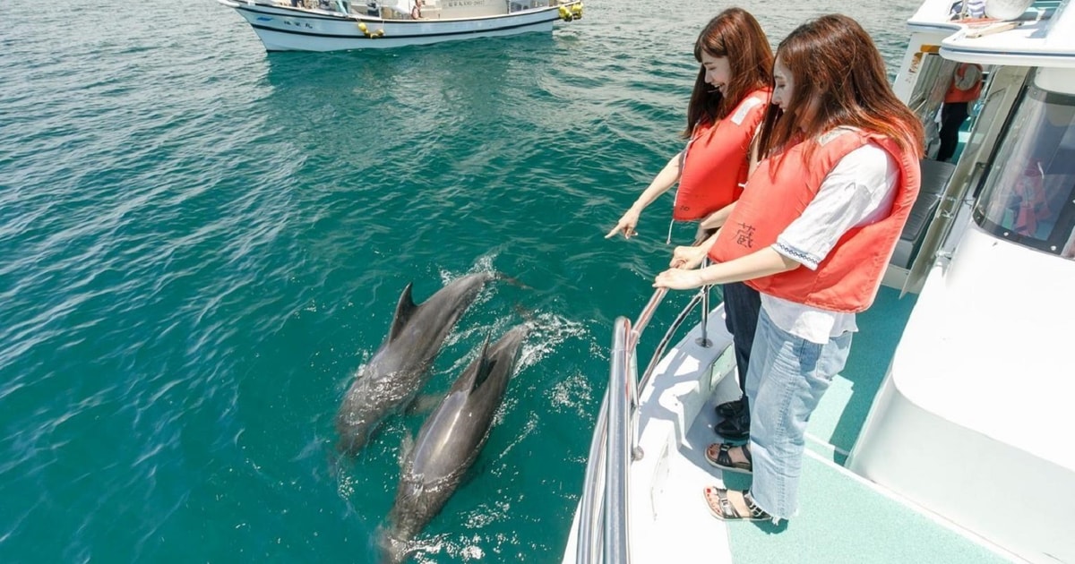 Muscat: Dolphin Watching and Snorkeling Tour | GetYourGuide