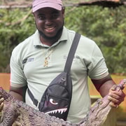 Martha Brae River Bamboo Rafting and Swamp Safari Day Tour | GetYourGuide