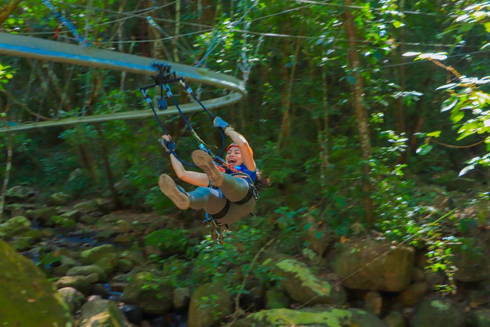 Outdoor Zipline Adventure | GetYourGuide