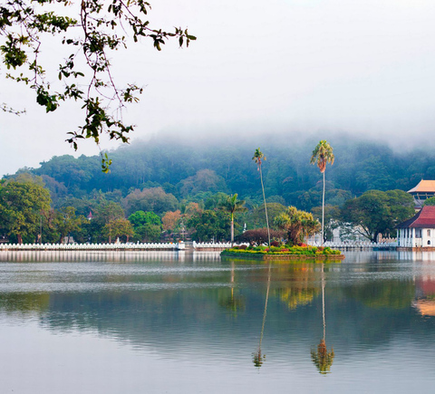 Royal Botanic Gardens, Kandy, Kandy - Book Tickets & Tours | GetYourGuide