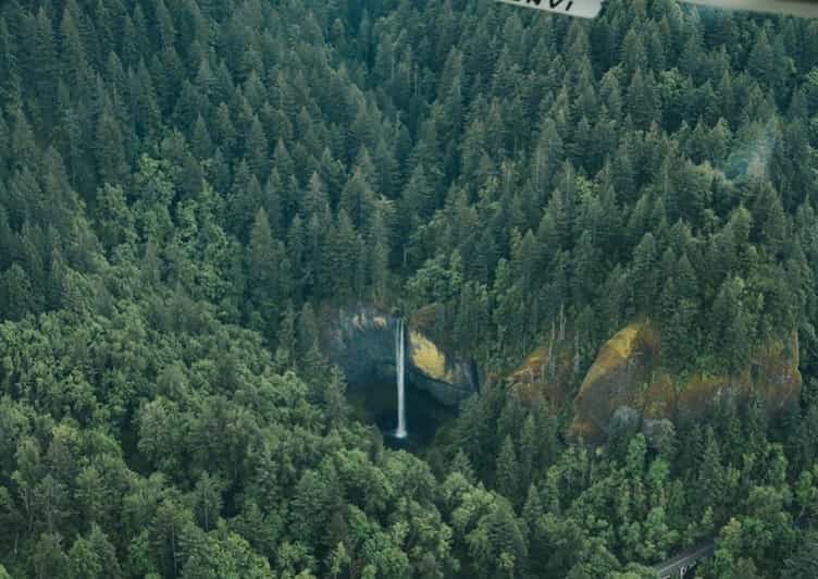 Portland: Multnomah Falls Scenic Air Tour | GetYourGuide