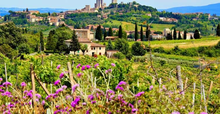 Tuscany: 3-Town Tour with Lunch and Wine Tasting | GetYourGuide