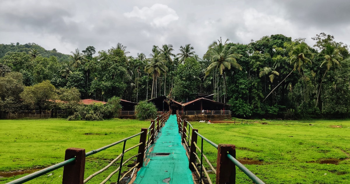 Goa: Spice Plantation Tour and Traditional Local Lunch | GetYourGuide