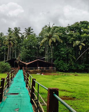 The BEST Goa Tours and Things to Do in 2024 - FREE Cancellation ...