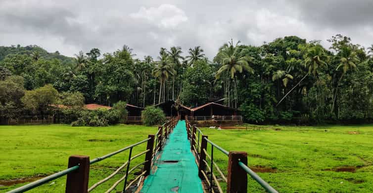 Goa: Spice Plantation Tour and Traditional Local Lunch | GetYourGuide