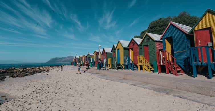 Cape Town: Peninsula Vibes Boulders Beach & Cape Point | GetYourGuide
