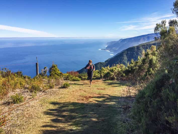 Funchal: Fanal Ancient Forest Running Tour | GetYourGuide