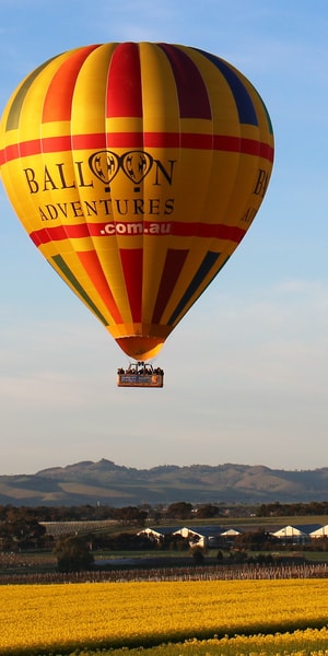 Barossa Valley: Hot Air Balloon Flight | GetYourGuide