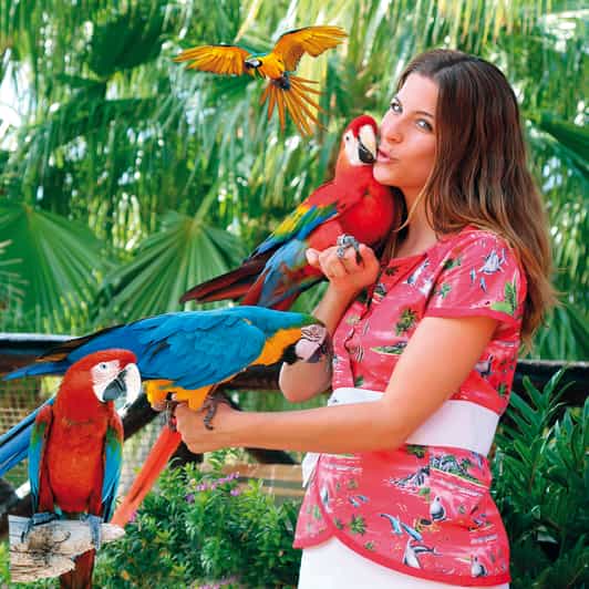 Benidorm: Mundomar Animal Park 1-Day Ticket | GetYourGuide