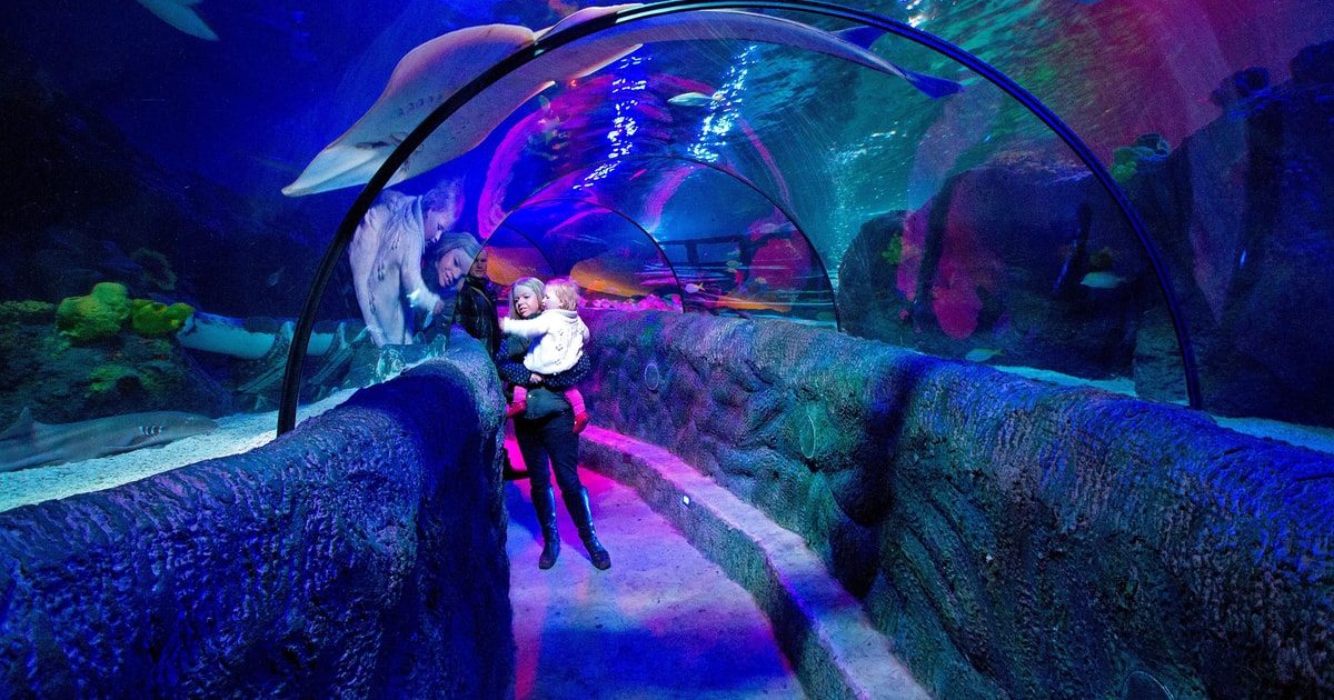 Loch Lomond: Sea Life Entrance Ticket | GetYourGuide