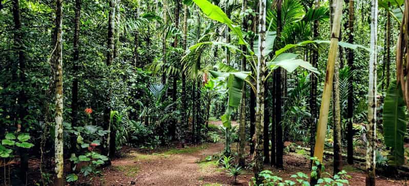 Goa: Spice Plantation Tour and Traditional Local Lunch | GetYourGuide