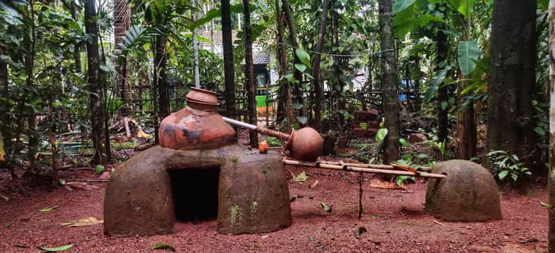 Goa: Spice Plantation Tour and Traditional Local Lunch | GetYourGuide
