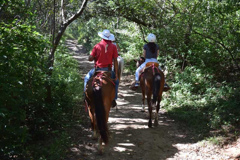 Horseback Riding to the Chorreas and Victoria Waterfalls | GetYourGuide