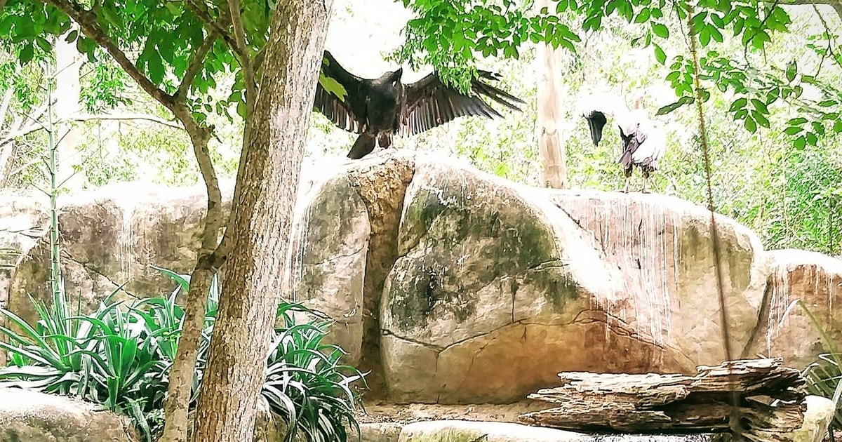 CARTAGENA: EXCURSION Baru + Aviary (entrance fee not included) + lunch ...