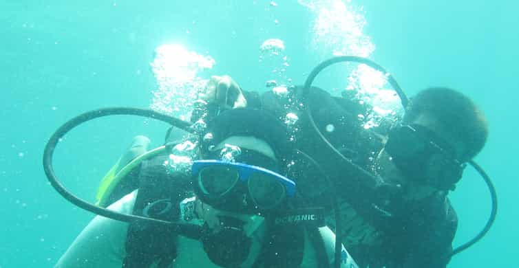 Pulau Payar: Marine Park Scuba Diving | GetYourGuide