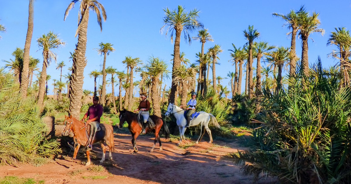 Palm Grove Horseback Riding Tour | GetYourGuide