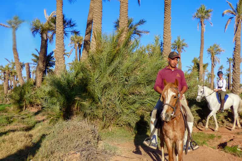 Marrakech: Tour a cavallo del palmeto | GetYourGuide
