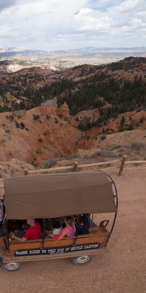 Parque Nacional del Cañón Bryce: Paseo panorámico en carreta hasta el ...