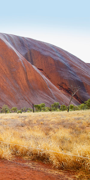 Uluru: Guided Walking Tour at Sunrise with Light Breakfast | GetYourGuide