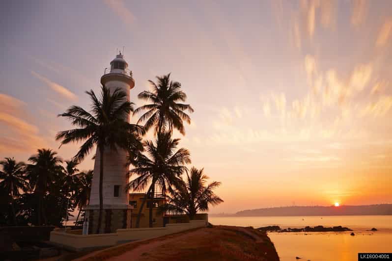 Sri Lanka meridional: tour de 2 días por mar, arena y vida marina ...