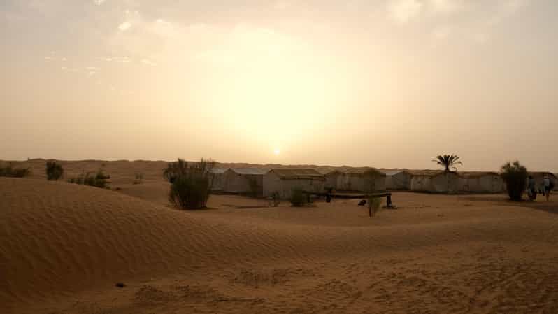 Ksar Ghilane Oasis: Camel Ride, Swim & Sunset on the Dunes | GetYourGuide