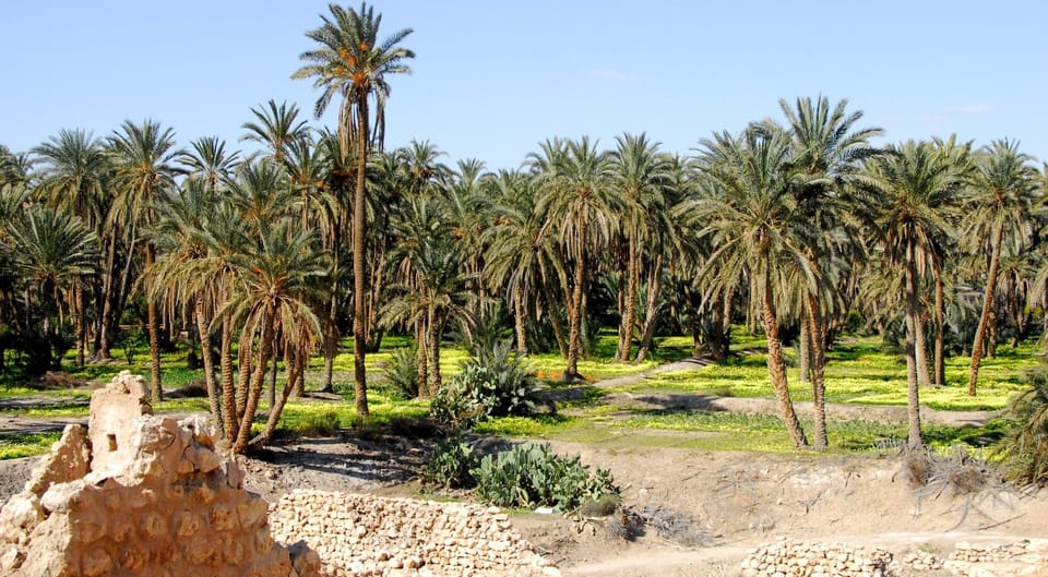 From Tozeur: Half-Day Mountain Oases Tour | GetYourGuide