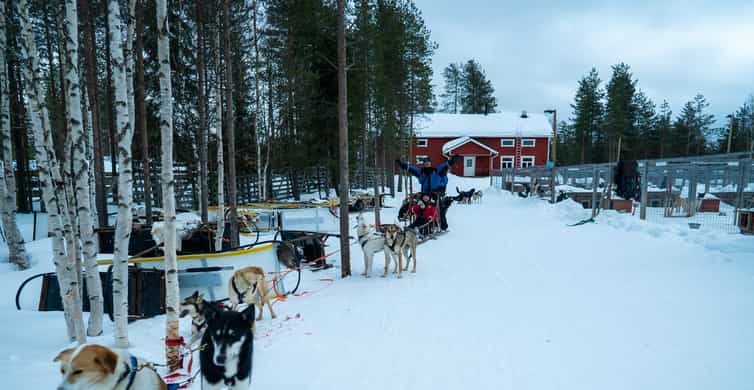 Rovaniemi: Family Friendly Husky Ride and Farm Visit | GetYourGuide