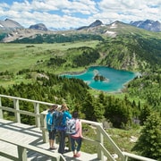 Banff: Sunshine Sightseeing Gondola and Standish Chairlift | GetYourGuide