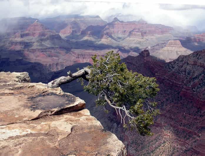 From Scottsdale: Multi-Stop Guided Grand Canyon Day Tour | GetYourGuide