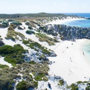 From Perth: Rottnest Island Ferry & Bus Tour | GetYourGuide