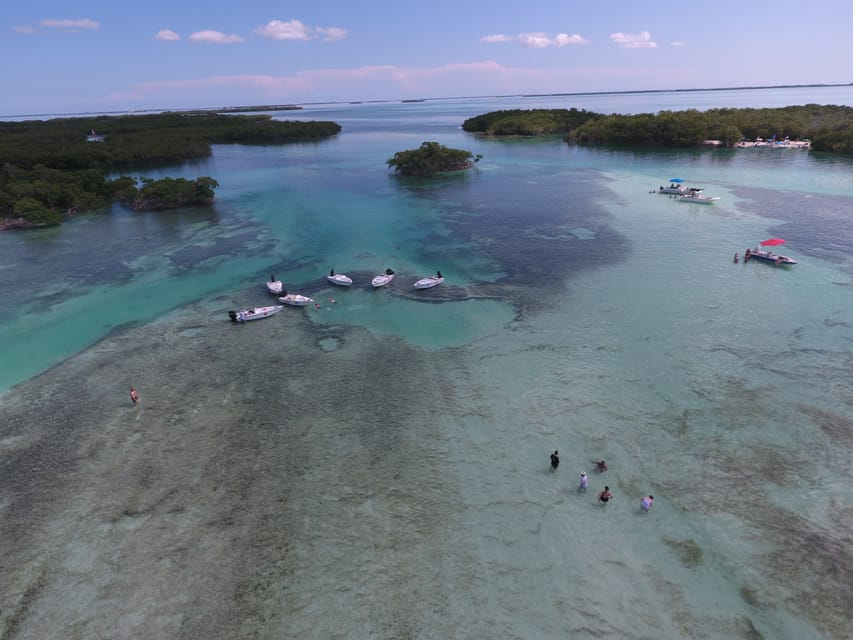 Key West: Eco Safari Sandbar Tour with Snorkeling | GetYourGuide