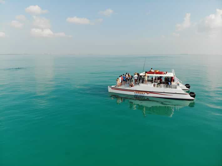 Key West: Dolphin Combo Boat Tour | GetYourGuide