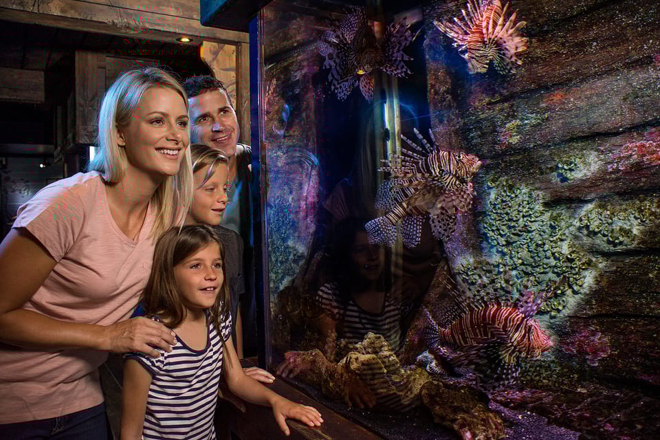 Sunshine Coast: SEA LIFE Sunshine Coast Entry Ticket | GetYourGuide