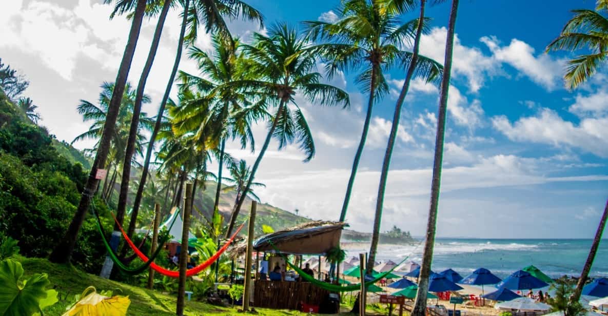 Desde Natal: Excursión de un día a la Playa de Pipa | GetYourGuide