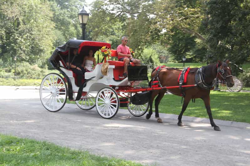 Romantic/Proposal Central Park Carriage Tour Up to 4 Adults | GetYourGuide