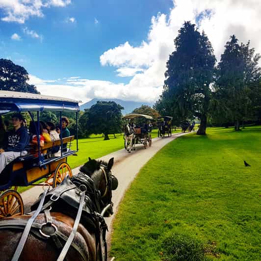 Killarney: Jaunting Car Tour with Craft Brewery Visit | GetYourGuide