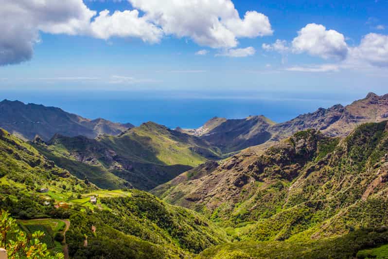Tenerife: Anaga Rural Park Full-Day Guided Tour | GetYourGuide