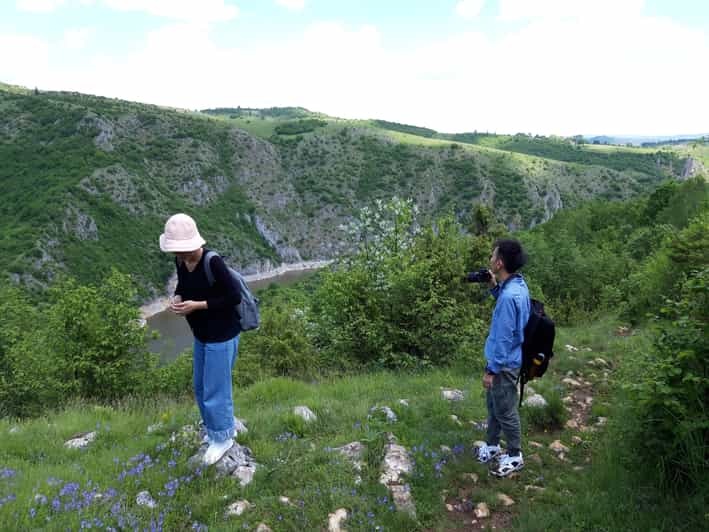 Uvac Nature Reserve Tour with Boat Ride & Hike to Viewpoint | GetYourGuide