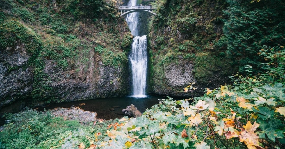 Portland: Columbia River Gorge Waterfalls Afternoon Tour | GetYourGuide
