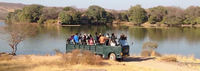 Parco Nazionale di Ranthambore: Jeep o Canter Safari Tour | GetYourGuide