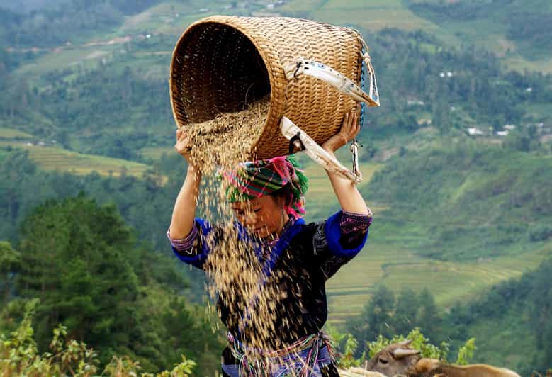 From Hanoi: 2-Day Sapa Cultural Exchange Tour with Homestay | GetYourGuide
