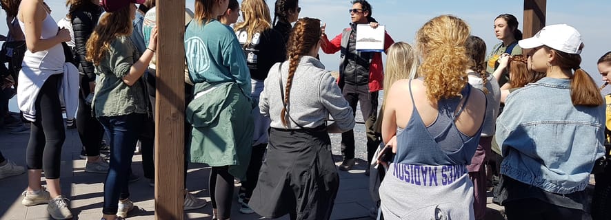 Mount Vesuvius, Naples - Book Tickets & Tours | GetYourGuide